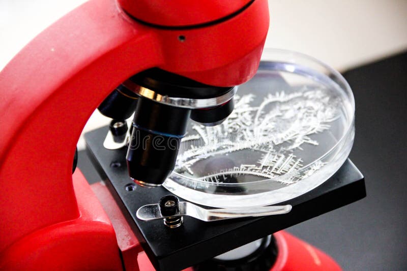 Study of Details Under a Microscope Stock Image - Image of games, forms ...