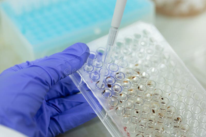 Study of Fish Blood Composition. Stock Image - Image of micropipette ...