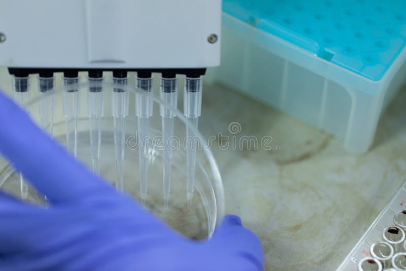 Study Of Fish Blood Composition. Stock Photo - Image of biology ...