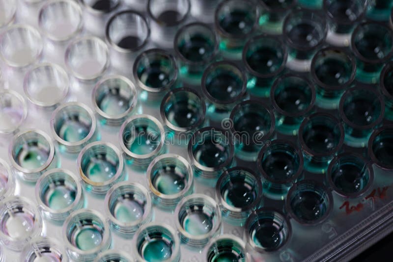 Study of Fish Blood Composition. Stock Photo - Image of biomedical ...