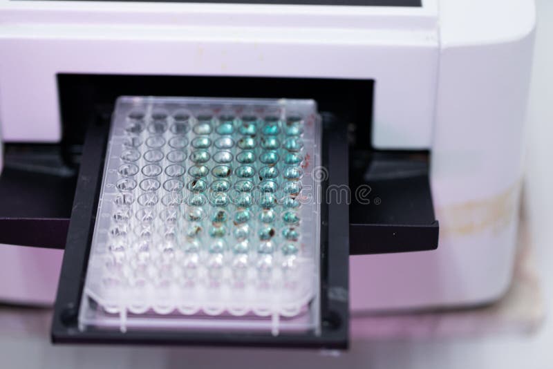 Study of Fish Blood Composition. Stock Photo - Image of composition ...