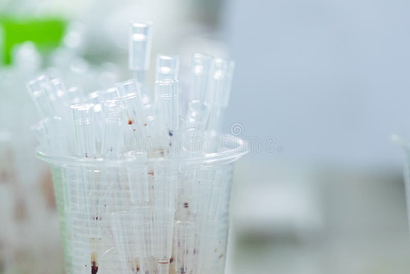 Study of Fish Blood Composition. Stock Photo - Image of analysis ...