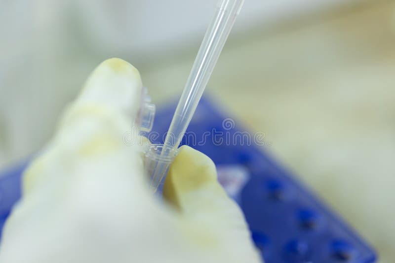 Study of Fish Blood Composition. Stock Image - Image of disease ...