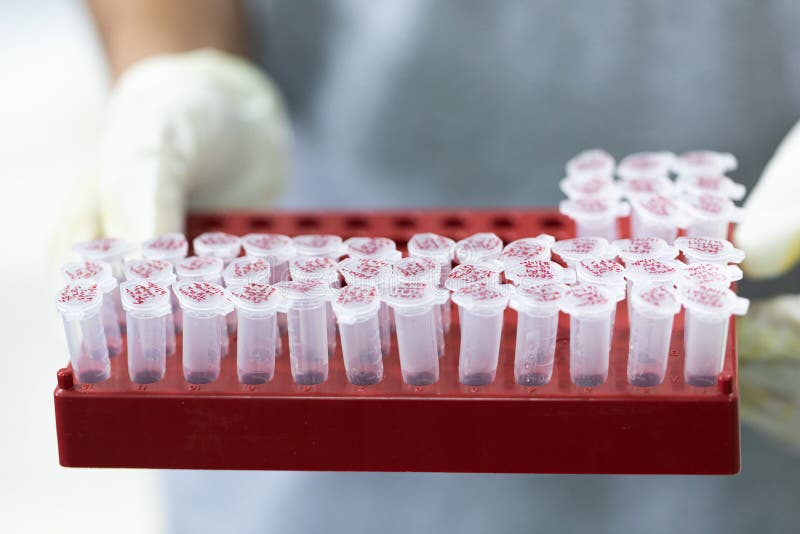 Study of Fish Blood Composition. Stock Image - Image of laboratory ...