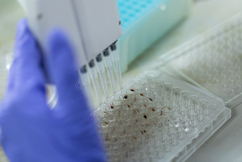 Study of Fish Blood Composition. Stock Photo - Image of medical ...