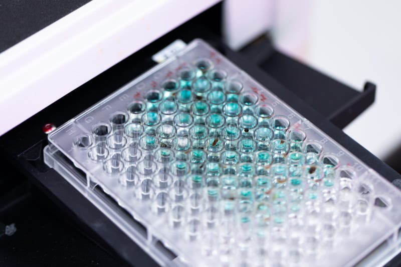 Study Of Fish Blood Composition. Stock Photo - Image of micropipette ...