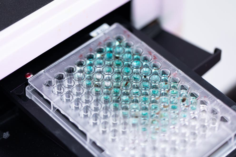 Study of Fish Blood Composition. Stock Image - Image of laboratory ...