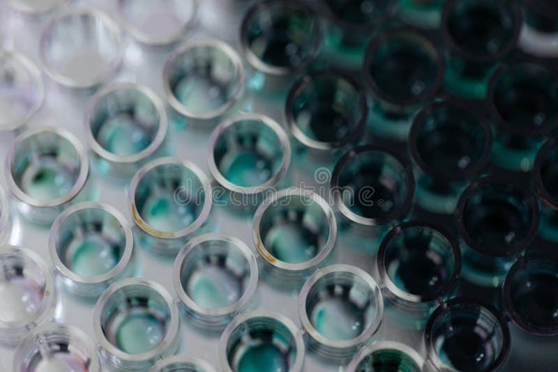 Study of Fish Blood Composition. Stock Photo - Image of measurement ...