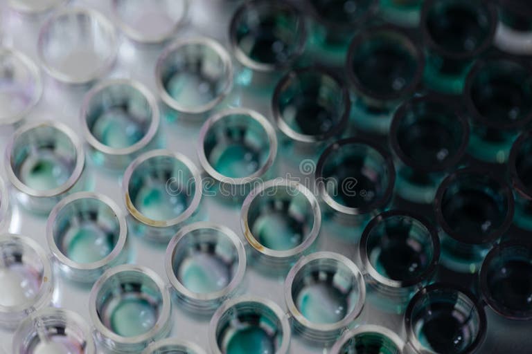 Study of Fish Blood Composition. Stock Photo - Image of measurement ...