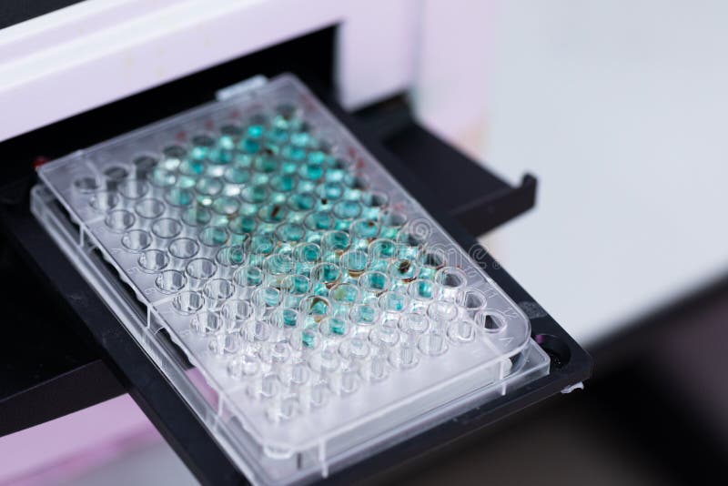 Study of Fish Blood Composition. Stock Image - Image of micropipette ...