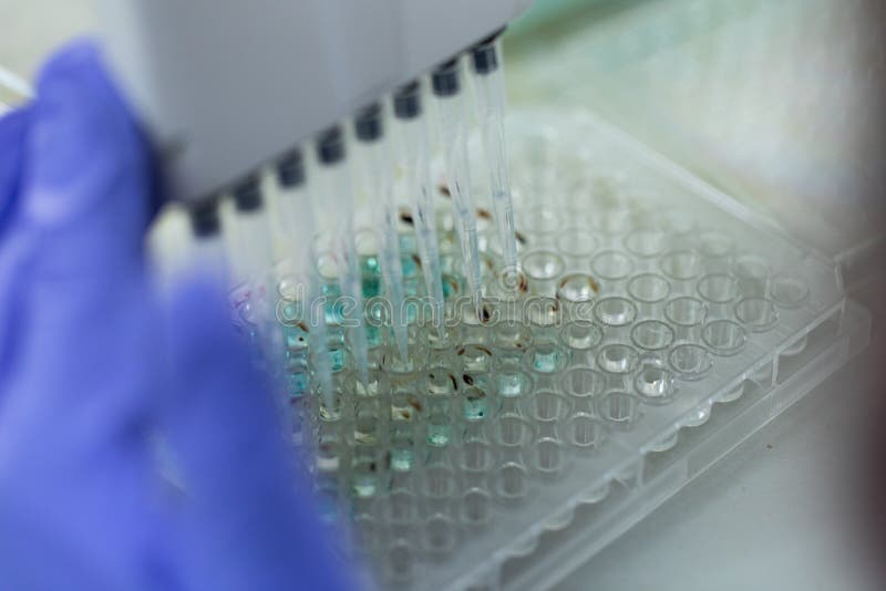 Study of Fish Blood Composition. Stock Photo - Image of pipette ...