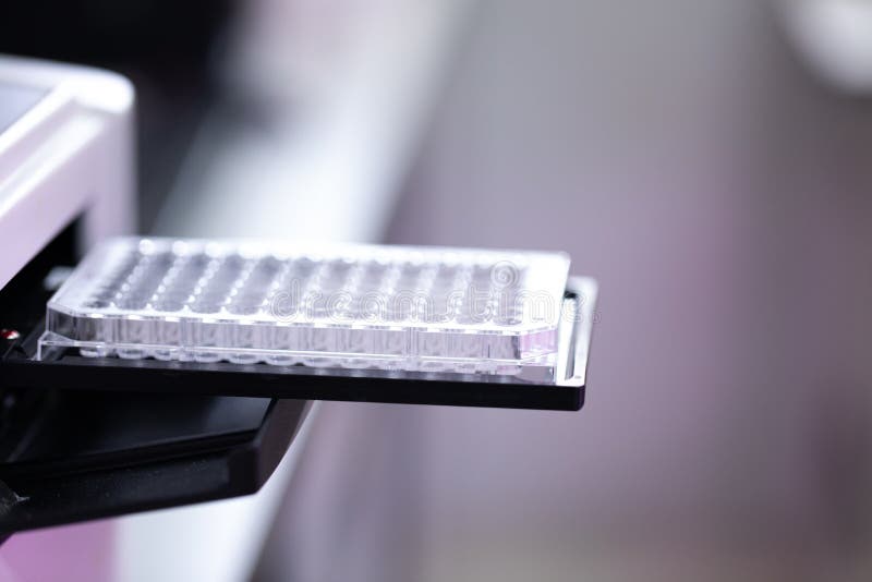 Study of Fish Blood Composition. Stock Photo - Image of biology ...