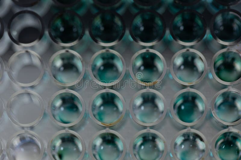 Study of Fish Blood Composition. Stock Photo - Image of chemical ...