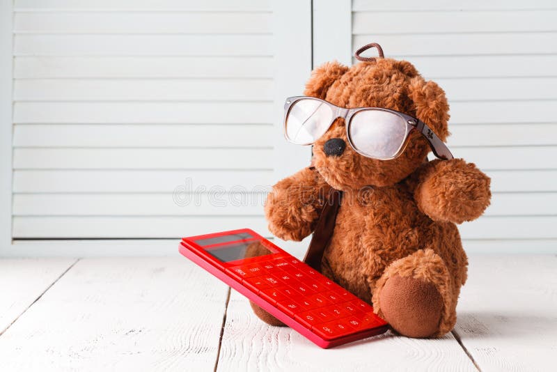 Study bear stock image. Image of isolated, reading, study - 15103943