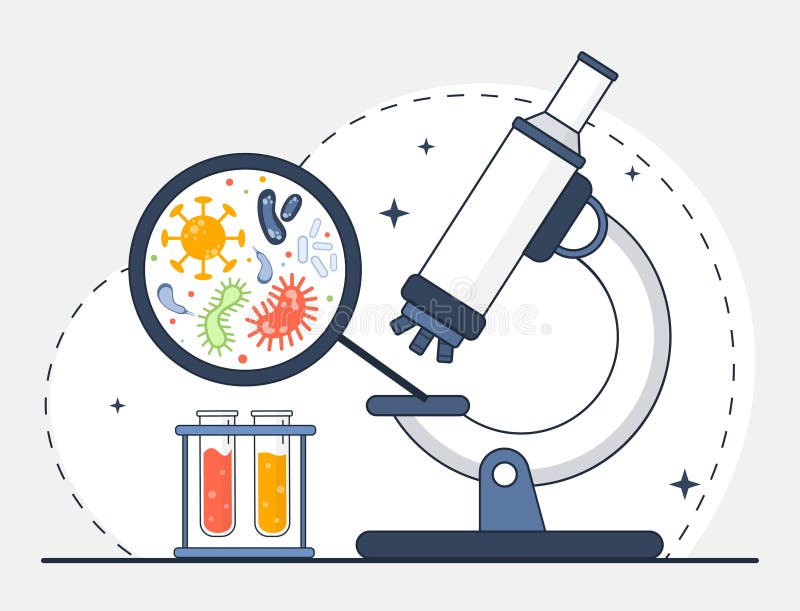 Study of microorganisms stock vector. Illustration of glass - 259780514