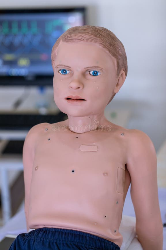 Study of the Physiology of the Model and the Parts of the Human Model ...