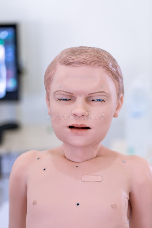 Study of the Physiology of the Model and the Parts of the Human Model ...