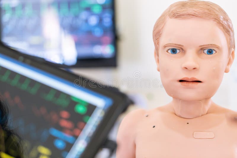 Study of the Physiology of the Model and the Parts of the Human Model ...