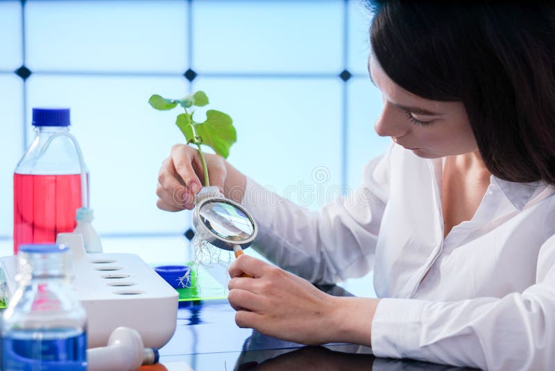Study Of Plants Under The Microscope For Biology Lessons Stock Photo ...