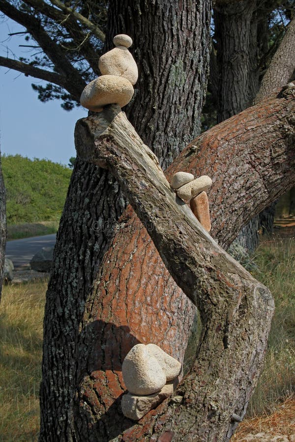 Study of Rocks and Boulders Stock Photo - Image of natural, igneous ...