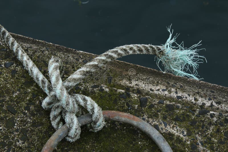 Study of Rope and Knot stock photo. Image of coloured - 109082186