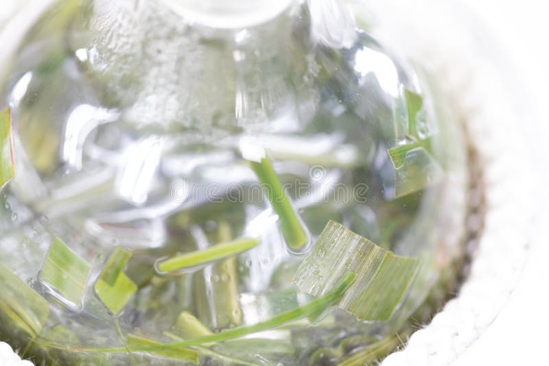 Separating By Filtration And Evaporation Condensation The Component ...