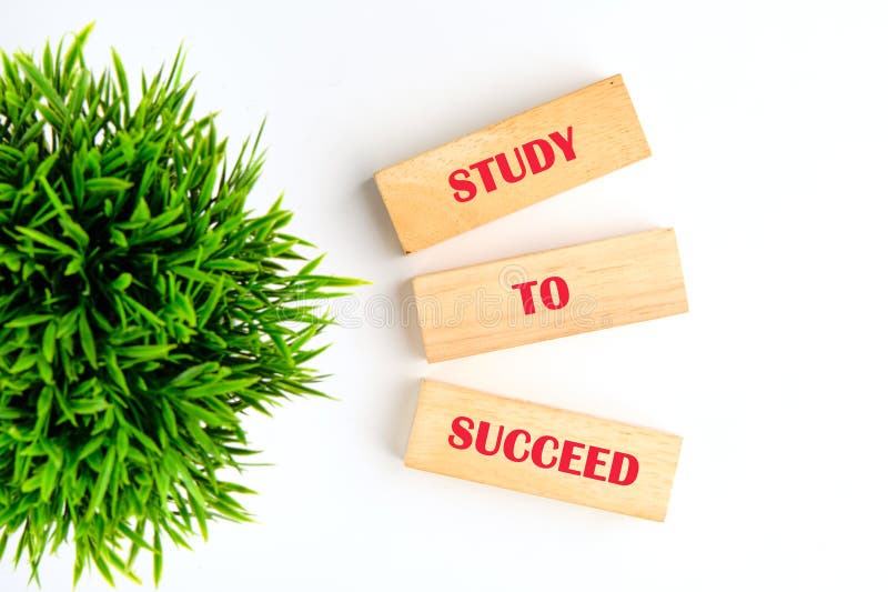 Study To Succeed with Educational Blocks and Greenery Fostering a ...