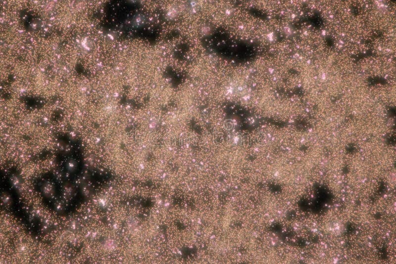 Study of White Blood Cells are the Cells of the Immune System Under the ...