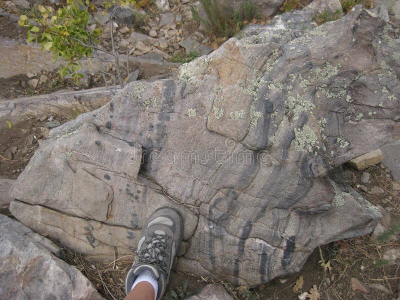 Studying Geology Rocks Foot in Photo for Scale Stock Photo - Image of ...
