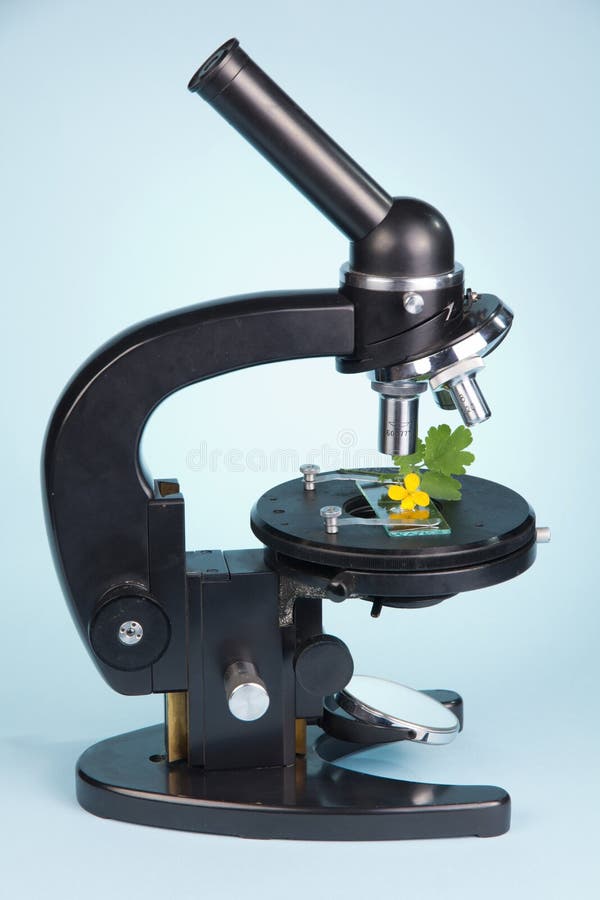 Studying Plants with a Microscope Stock Photo - Image of laboratory ...