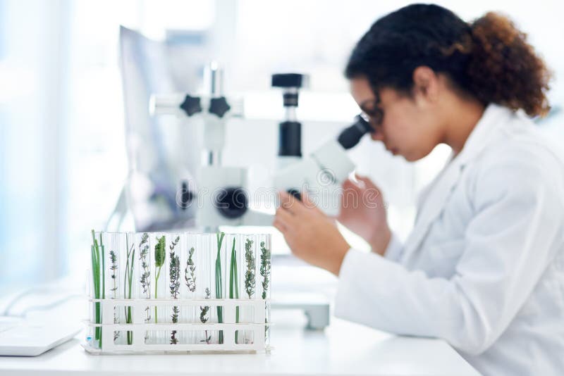 Studying the Structure of Plant Cells. a Young Female Scientist Using a ...