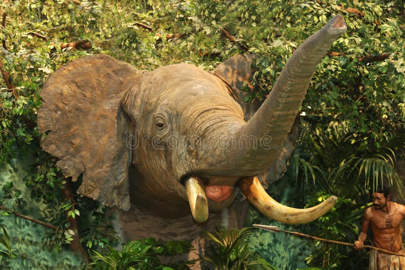 Stuffed African Elephant Against Lifelike Jungle with Hunter Editorial ...