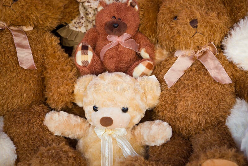 Stuffed Animals stock image. Image of cuddly, furry, cute - 22354717