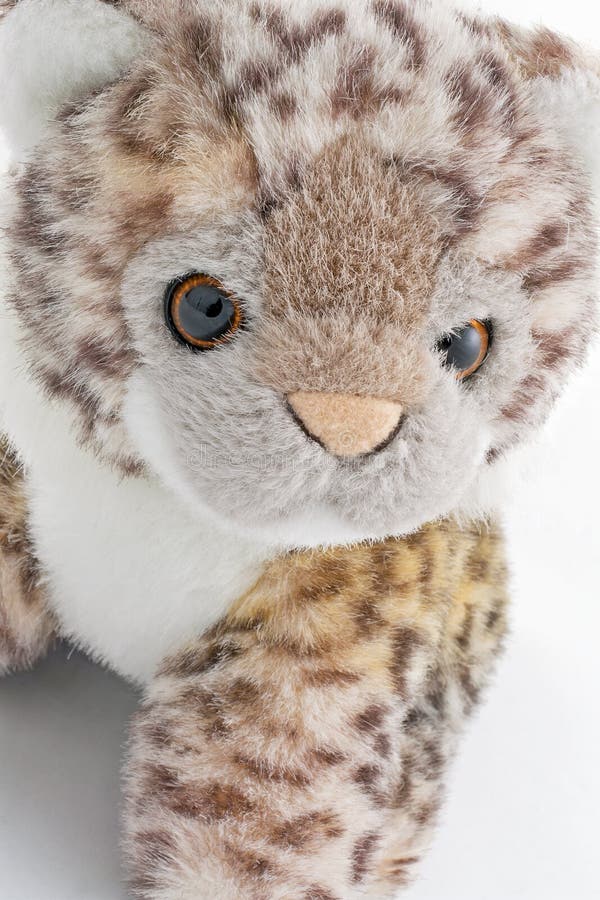Stuffed animals stock photo. Image of stuffed, eyes, baby - 47370042