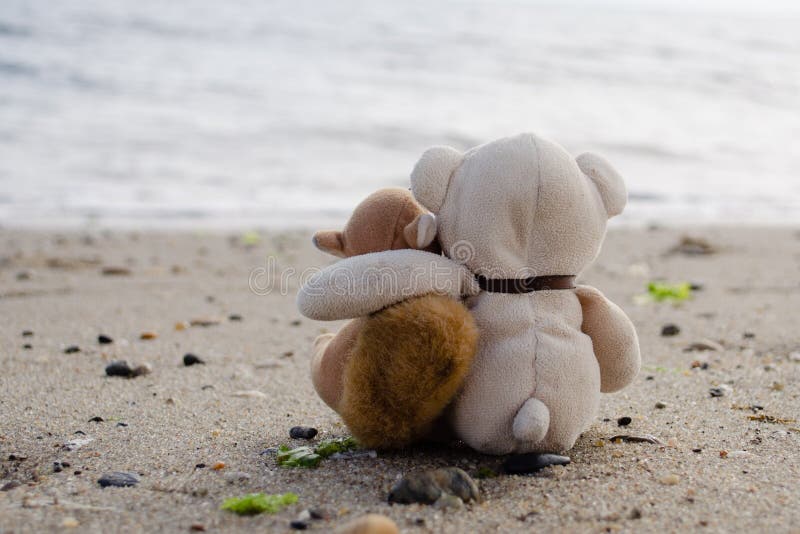 Stuffed Animals Hugging on the Beach Stock Image - Image of childhood ...
