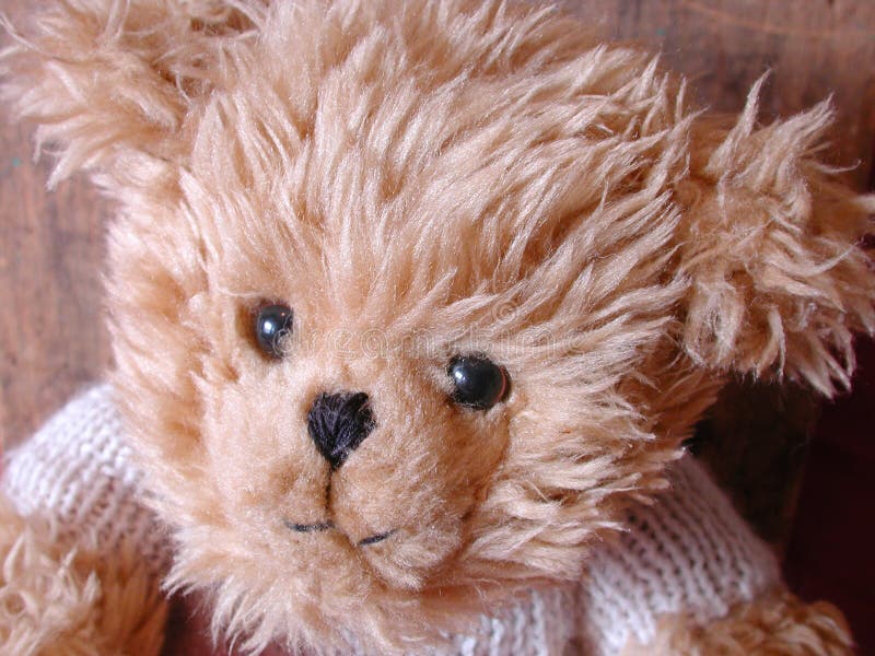 Stuffed bear stock image. Image of objects, face, play - 542953