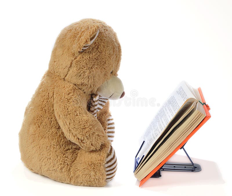 Stuffed Bear Reading A Book Picture. Image: 15814978