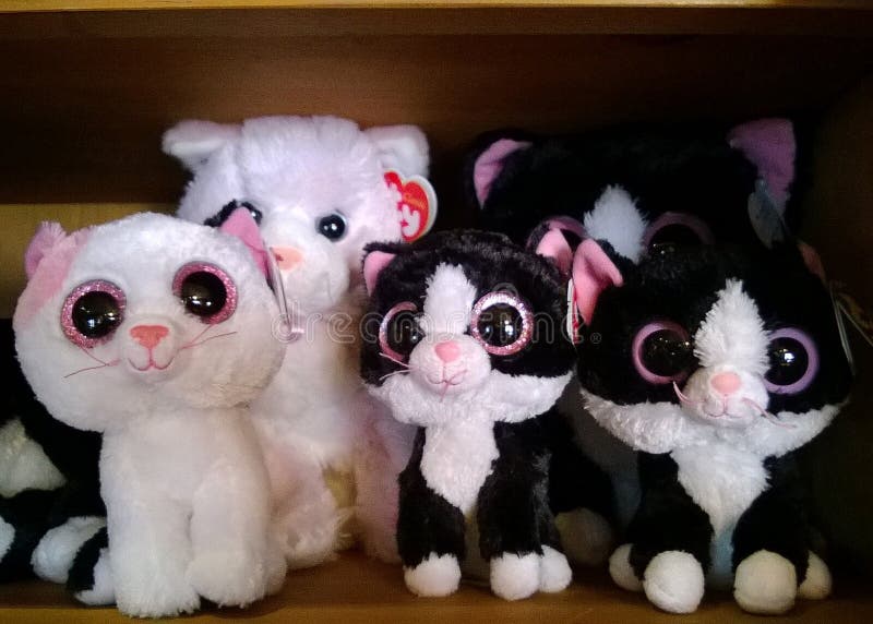 Big Eyed Stuffed Cat Stock Photos - Free & Royalty-Free Stock Photos ...