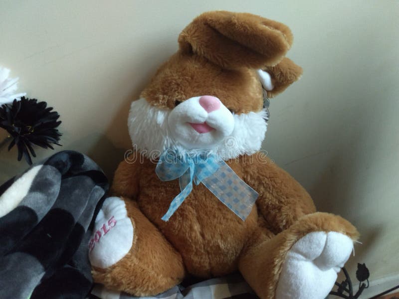 1,893 Rabbit Blue Ribbon Stock Photos - Free & Royalty-Free Stock ...