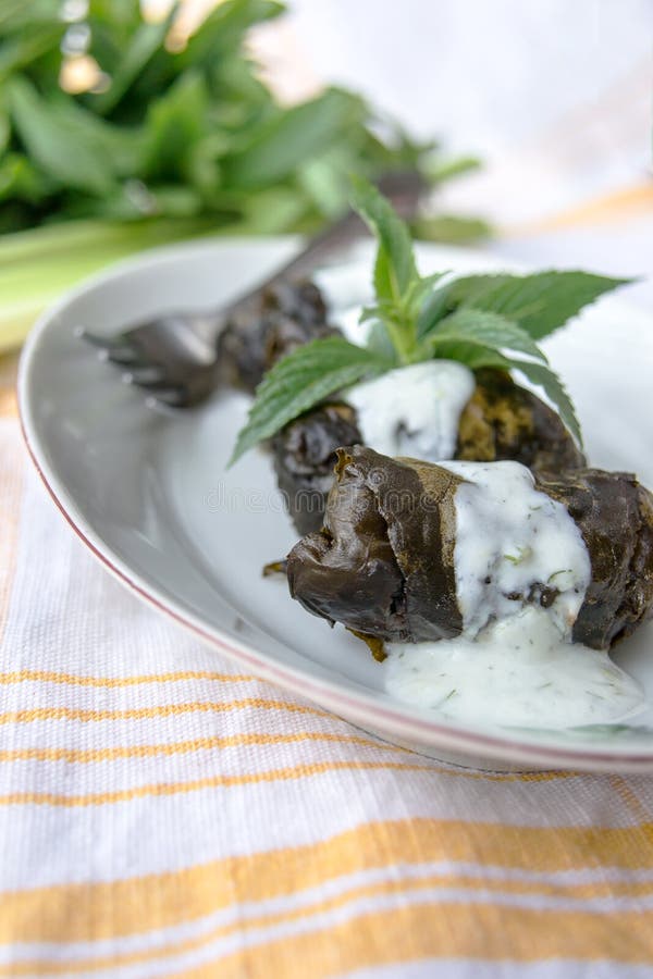 Stuffed dock leaves stock image. Image of onions, cooking - 24653101