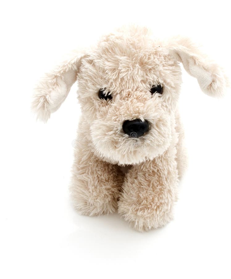 Stuffed dog stock image. Image of teddy, gift, isolated - 10739055