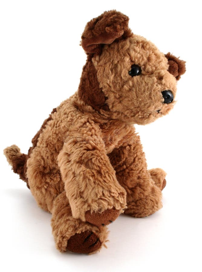 Stuffed Dog stock photo. Image of plaything, worn, cute - 8132268