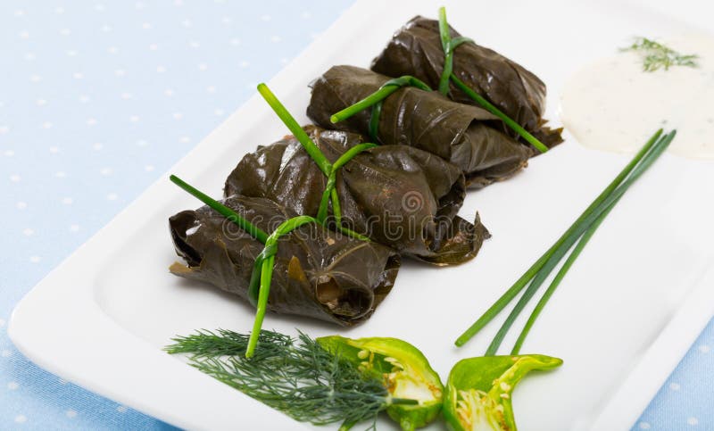 Stuffed Grape Leaves with Assorted Fillings Stock Image - Image of ...