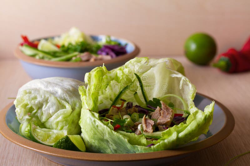 Stuffed Iceberg Lettuce Cabbage Leaves with Chicken and Vegetables ...