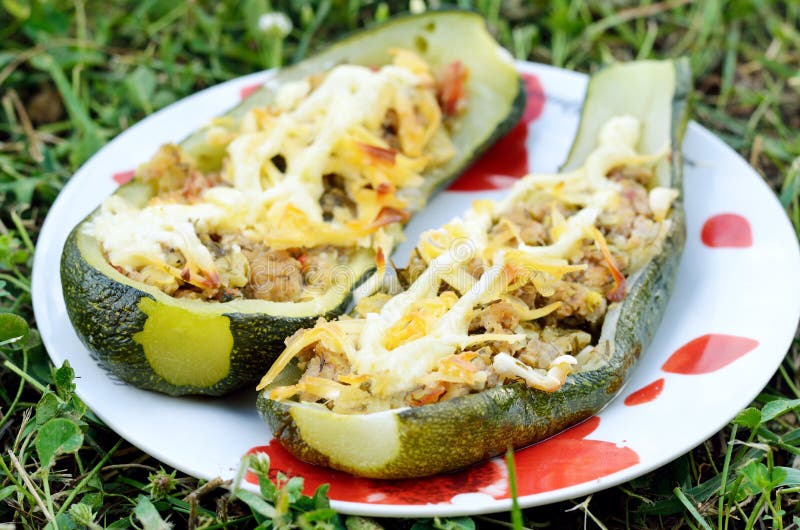Stuffed marrow stock image. Image of cook, appetizing - 25913305