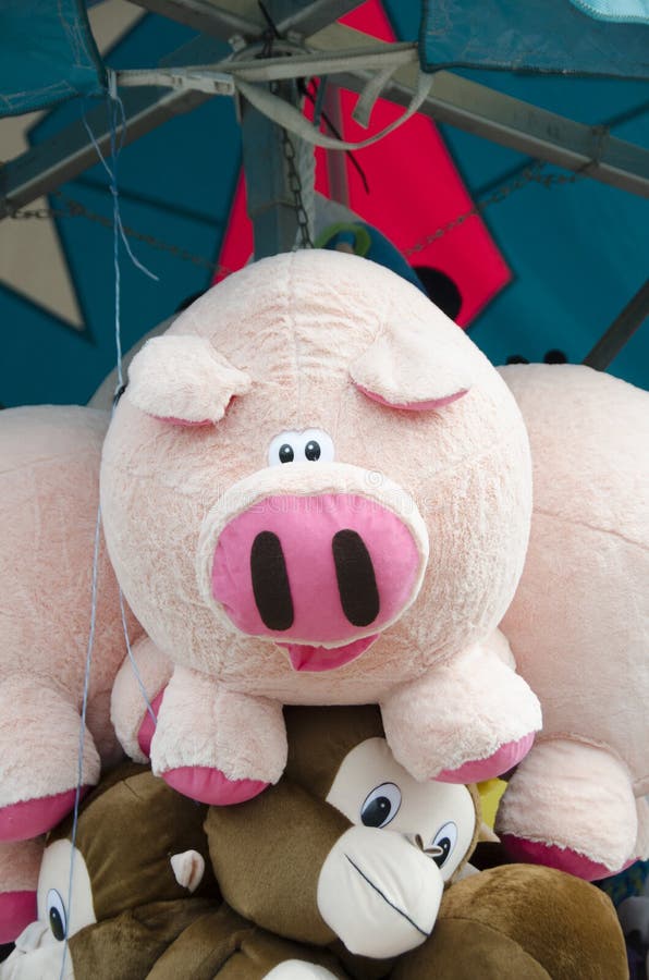 Stuffed pig prize stock photo. Image of stand, stuffed - 44579150