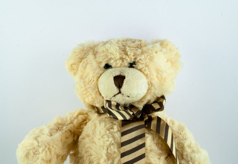 Stuffed Plush Cute Bear, Portrait, Isolated on White Gift Toy Stock ...