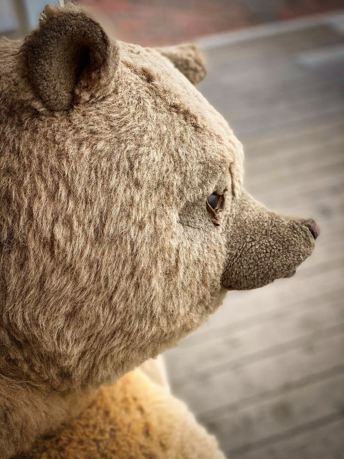 Stuffed Teddy Bear Oversized Head Profile Stock Photo - Image of bear ...