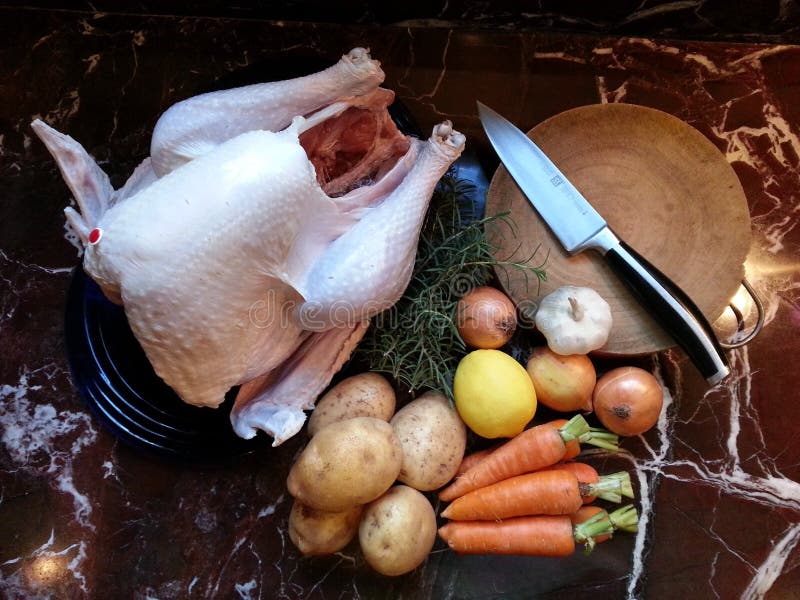 Stuffed Turkey editorial stock photo. Image of tradition - 49465138