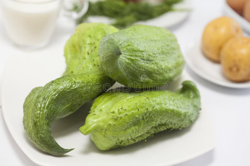 Stuffing cucumber stock image. Image of cyclanthera, stuffing - 74379427